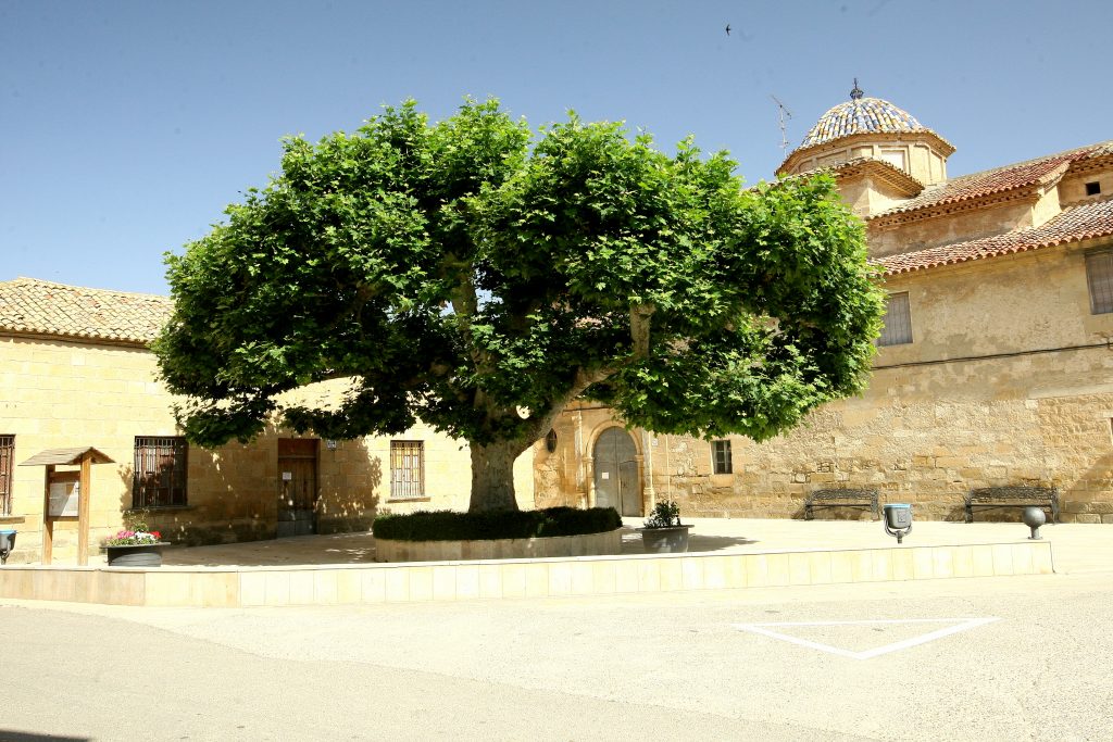 Maella - Comarca Bajo Aragón Caspe